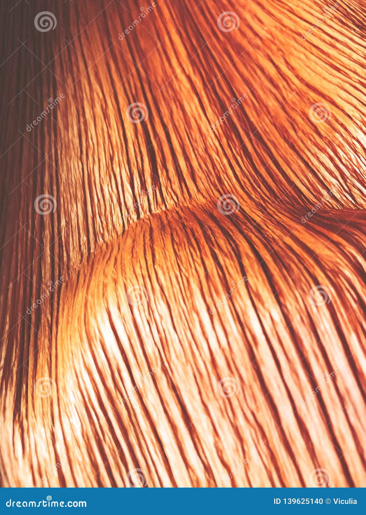The Structure of Piece of Wood. Shot from Close View Stock Photo ...