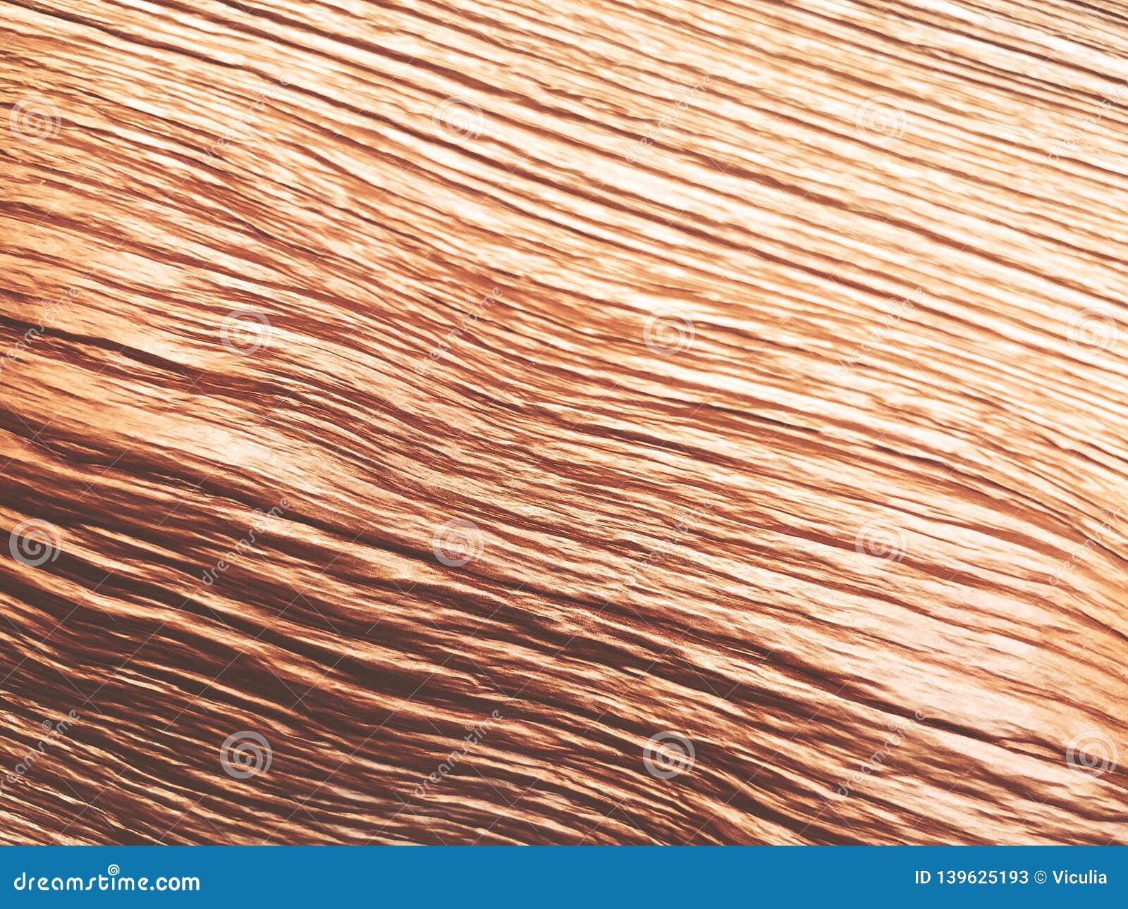 The Structure of Piece of Wood. Shot from Close View Stock Image ...