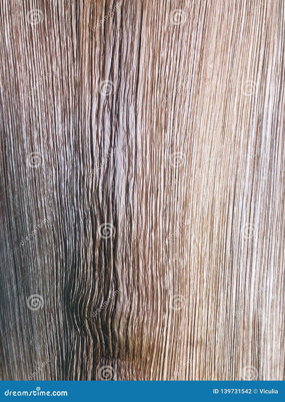 The Structure of Piece of Wood. Shot from Close View Stock Photo ...