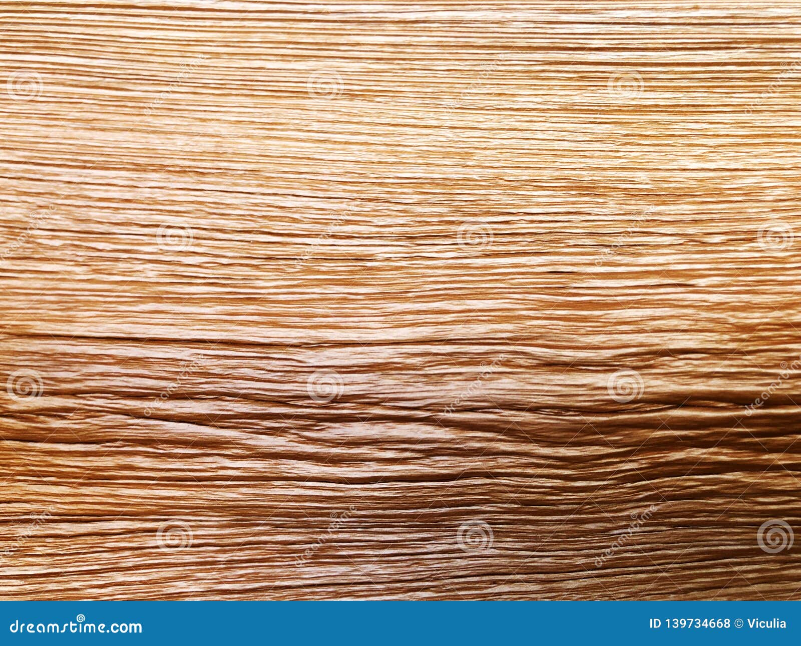 The Structure of Piece of Wood. Shot from Close View Stock Photo ...