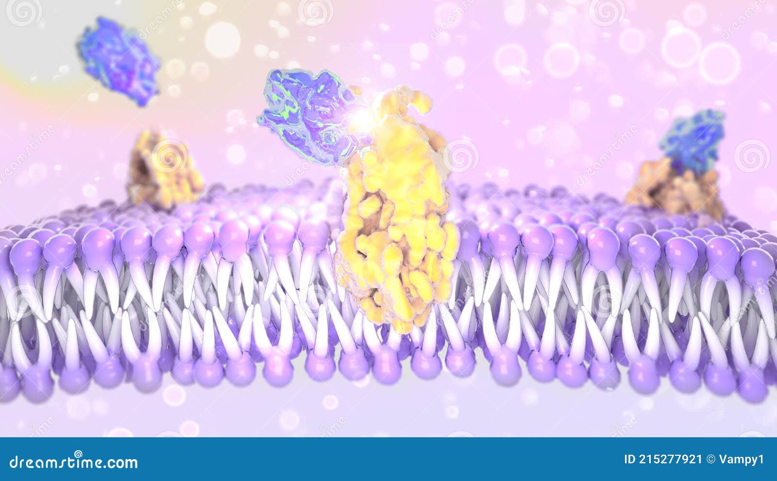 Structure of the Plasma Membrane of a Cell. Lipids and Fats Stock ...