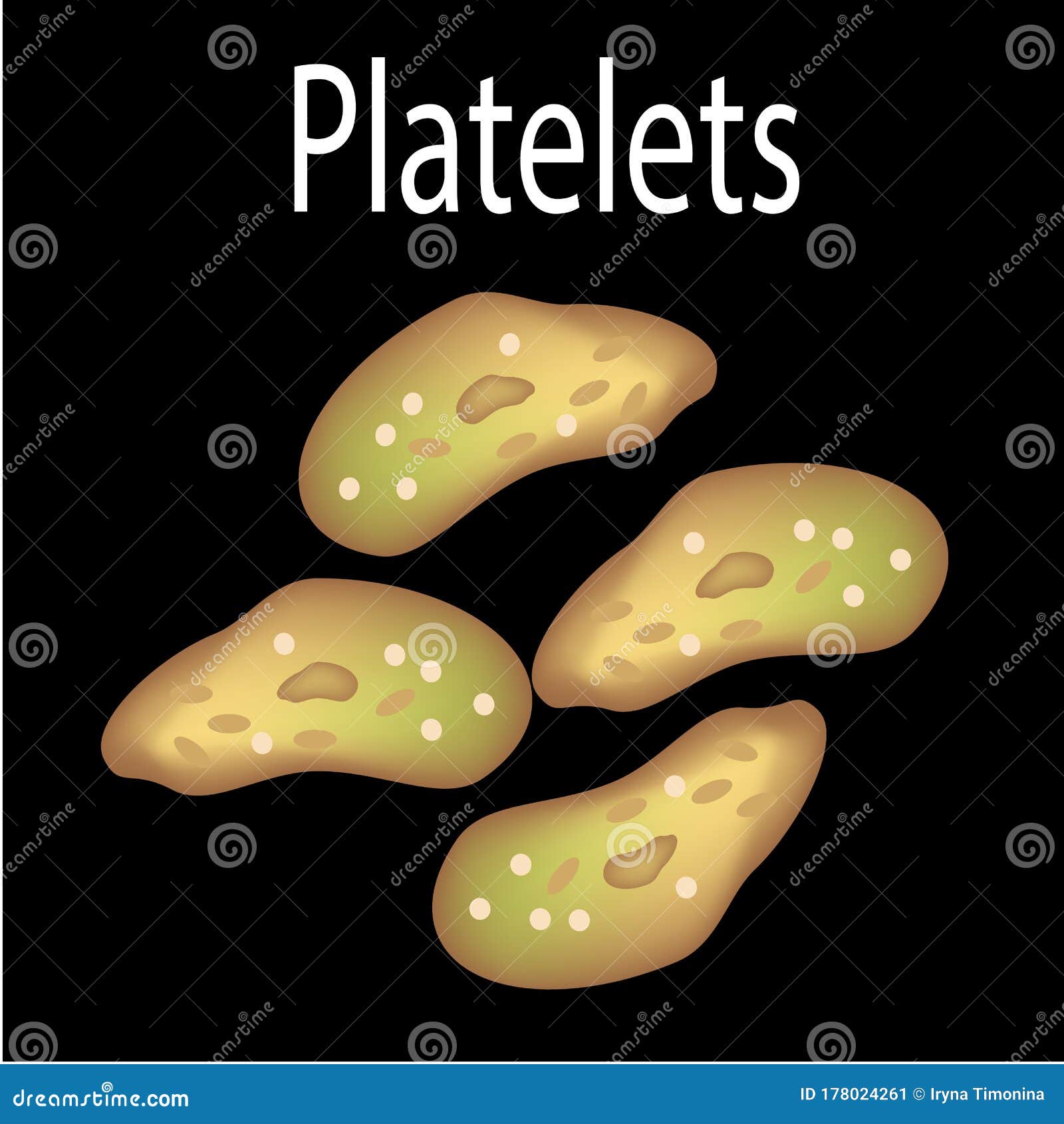 The Structure of Platelets. Platelets are a Blood Cell. Infographics ...