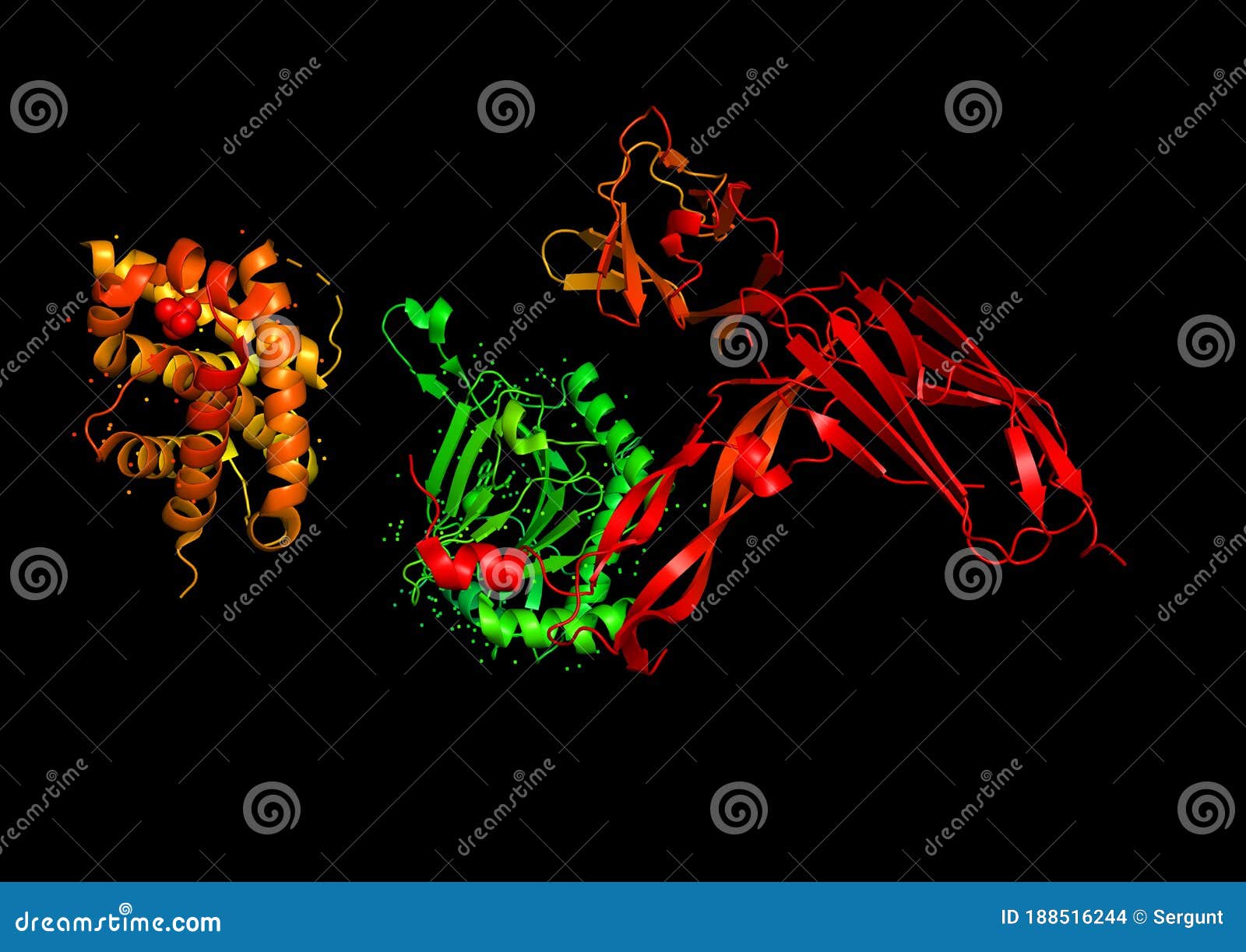 The Structure of the Protein Molecule, an Activator of Angiogenesis ...