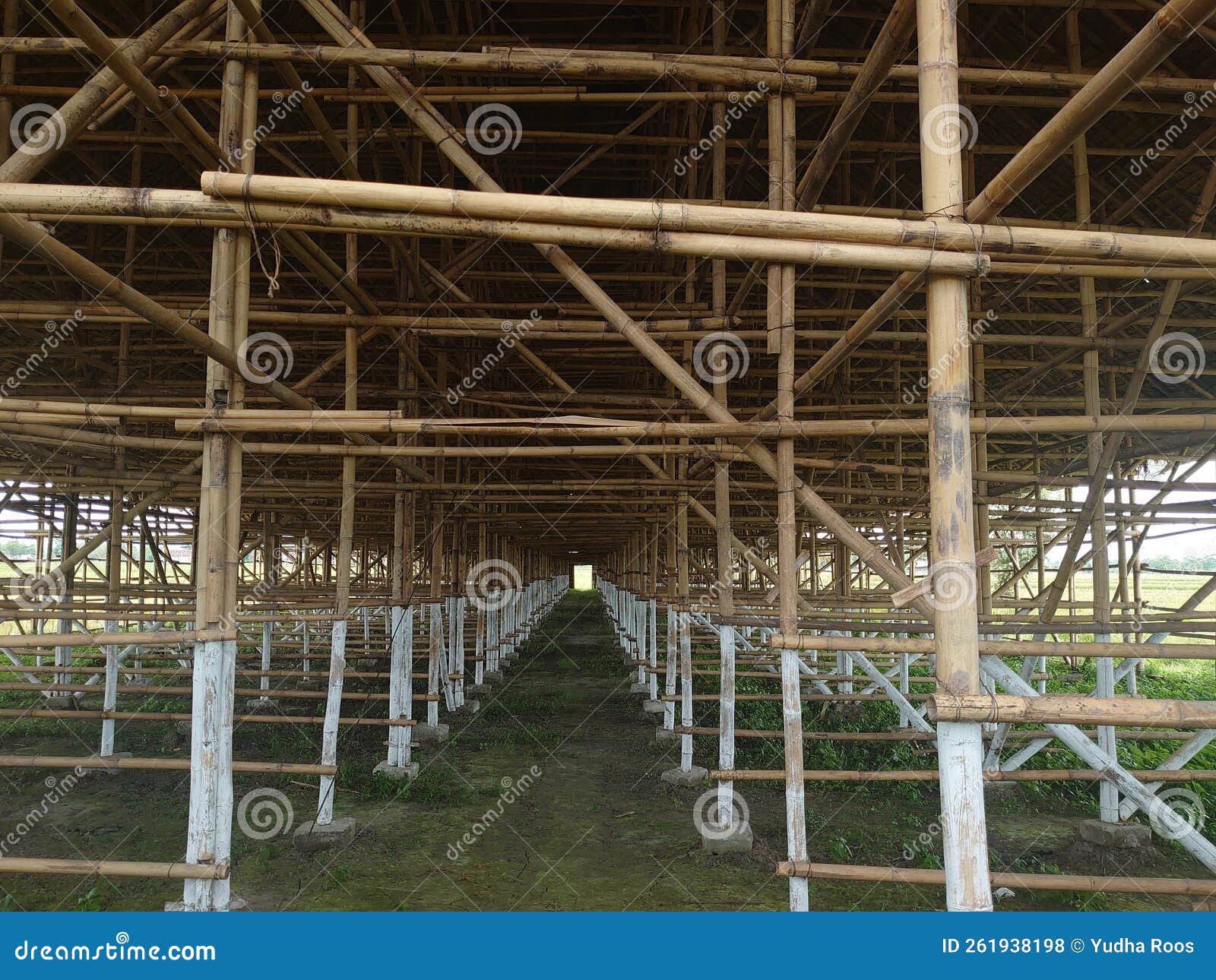 The Structure in the Rice Drying Building is Full of Bamboo Stock Photo ...