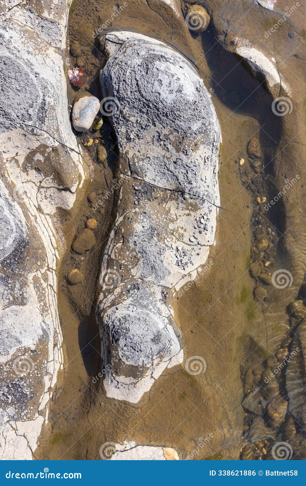 The Structure of the Rocky Bottom in the Shallow Part of the River ...