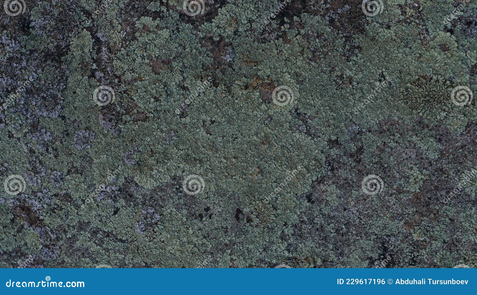 The Structure of Rotten Stones Stock Photo - Image of textured ...