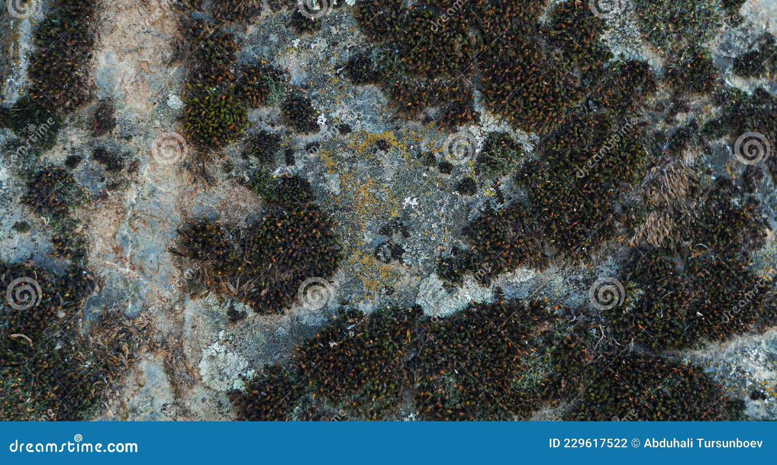 The Structure of Rotten Stones Stock Photo - Image of weathered, rock ...