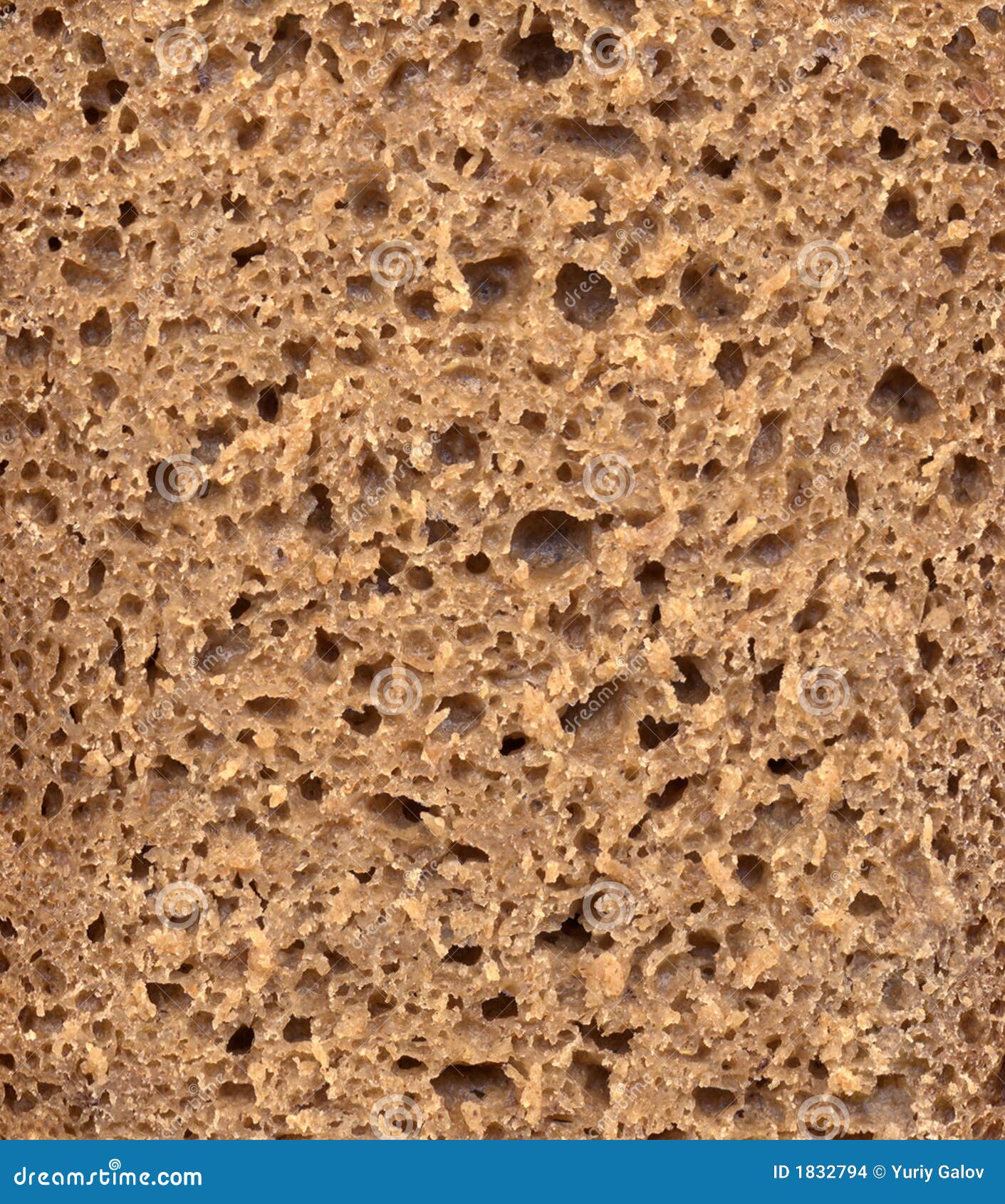Structure of rye bread stock photo. Image of slices, cereal - 1832794