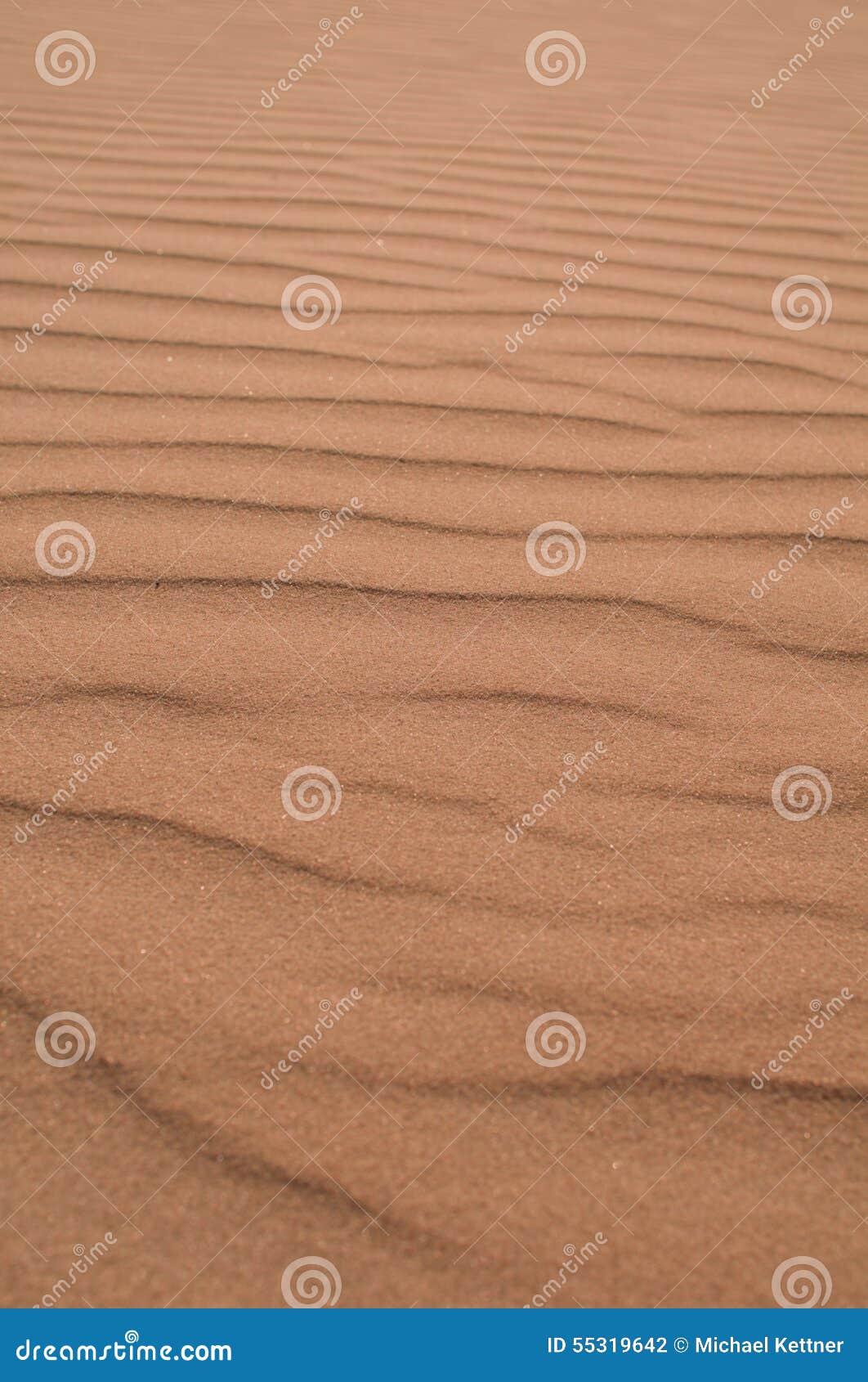Structure of sand stock photo. Image of background, grains - 55319642