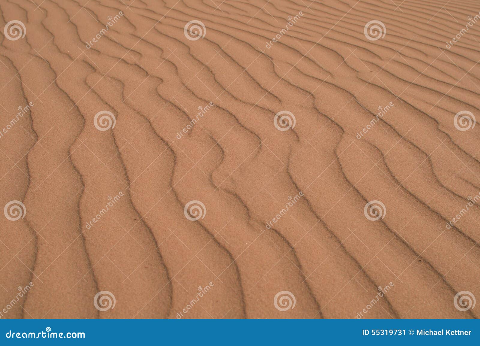 Structure of sand stock image. Image of earth, fine, ecology - 55319731
