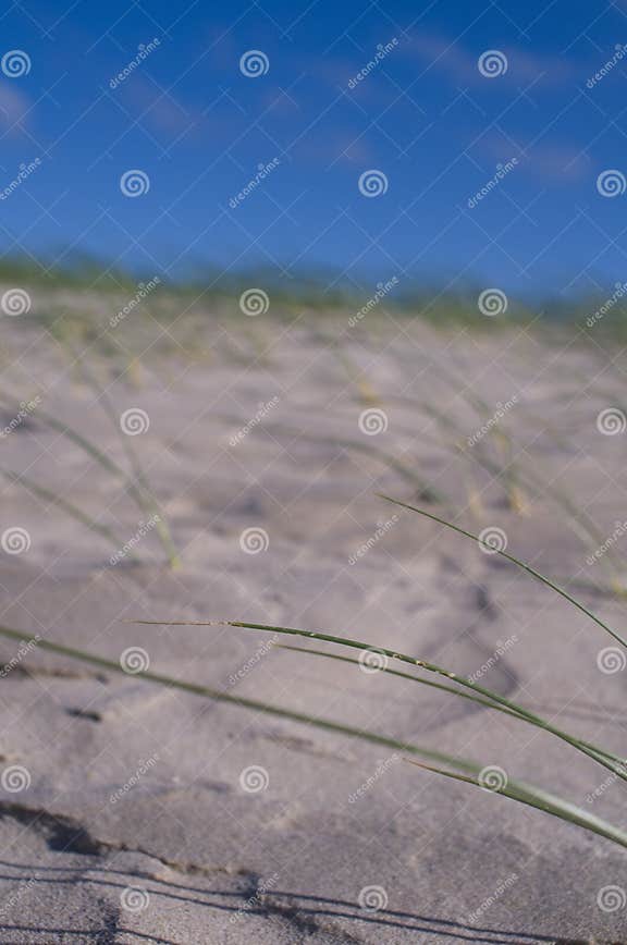 Structure of sand stock image. Image of desolate, beachfront - 55323171