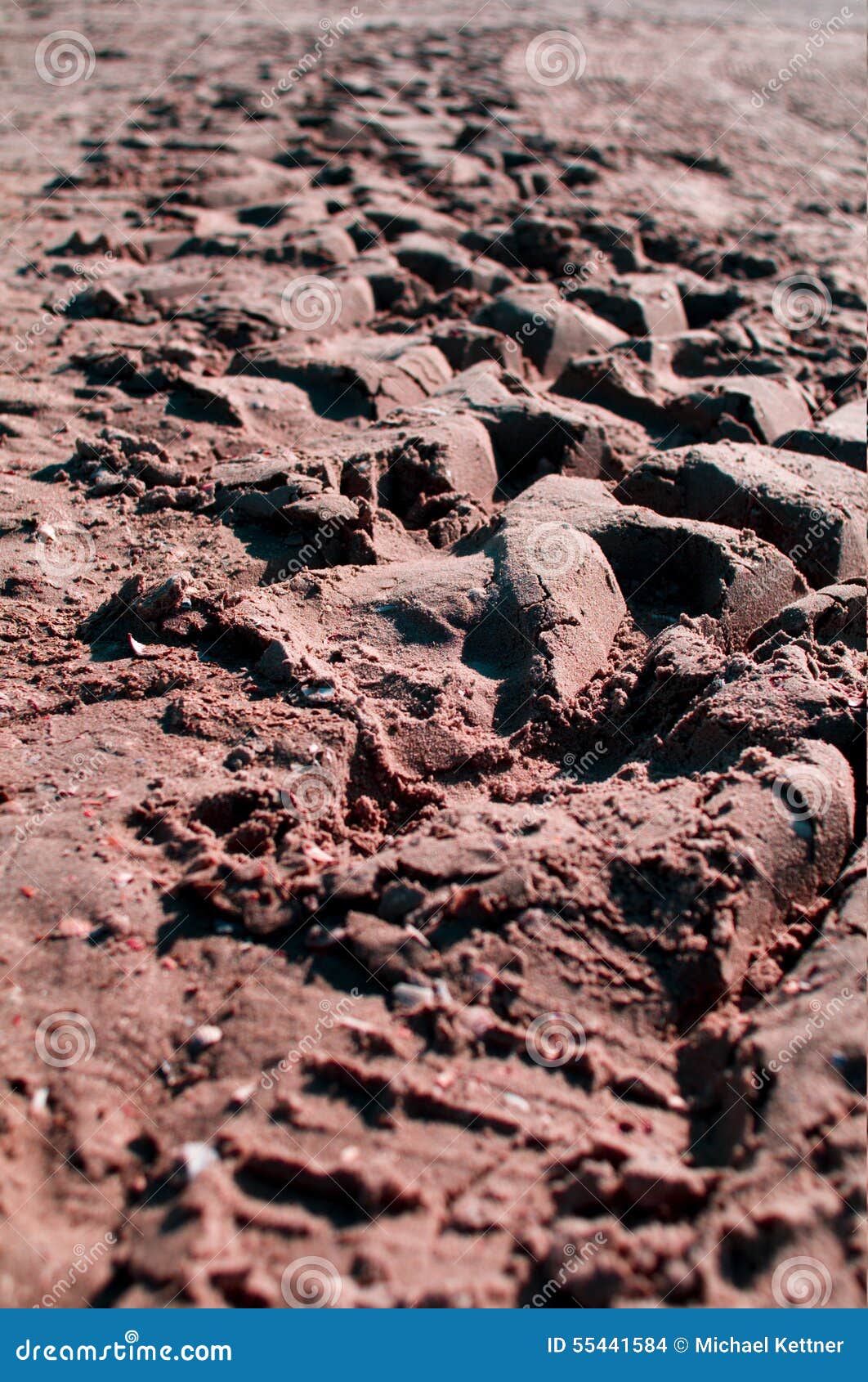 Structure of sand stock photo. Image of heat, ground - 55441584