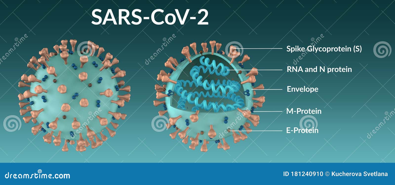 Sars Molecule Stock Illustrations – 2,013 Sars Molecule Stock ...