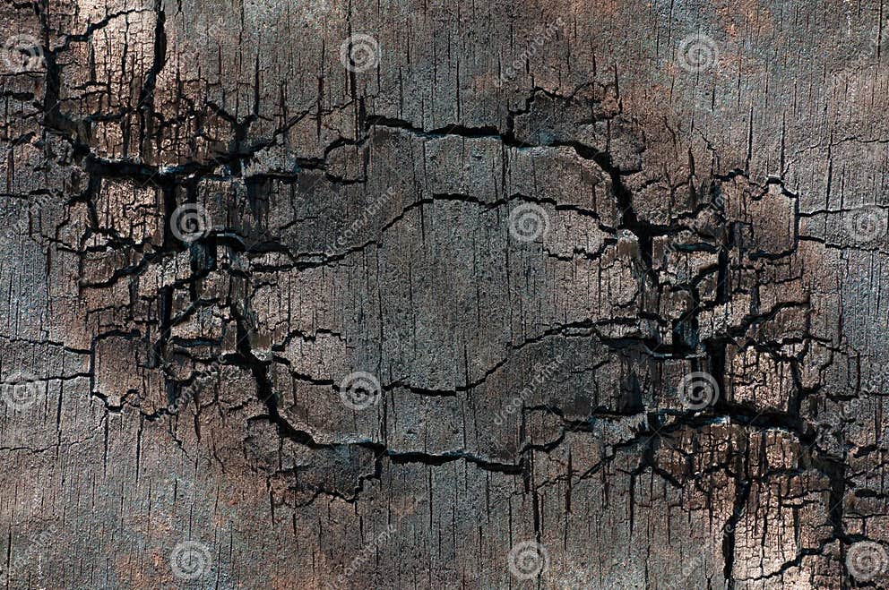Structure of the Scorched Plywood Stock Image - Image of plywood, black ...