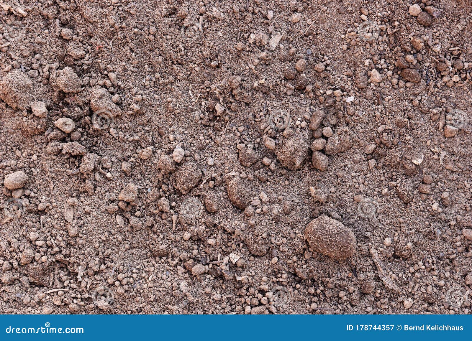 The Structure of the Soil Closeup Stock Image - Image of organic, field ...