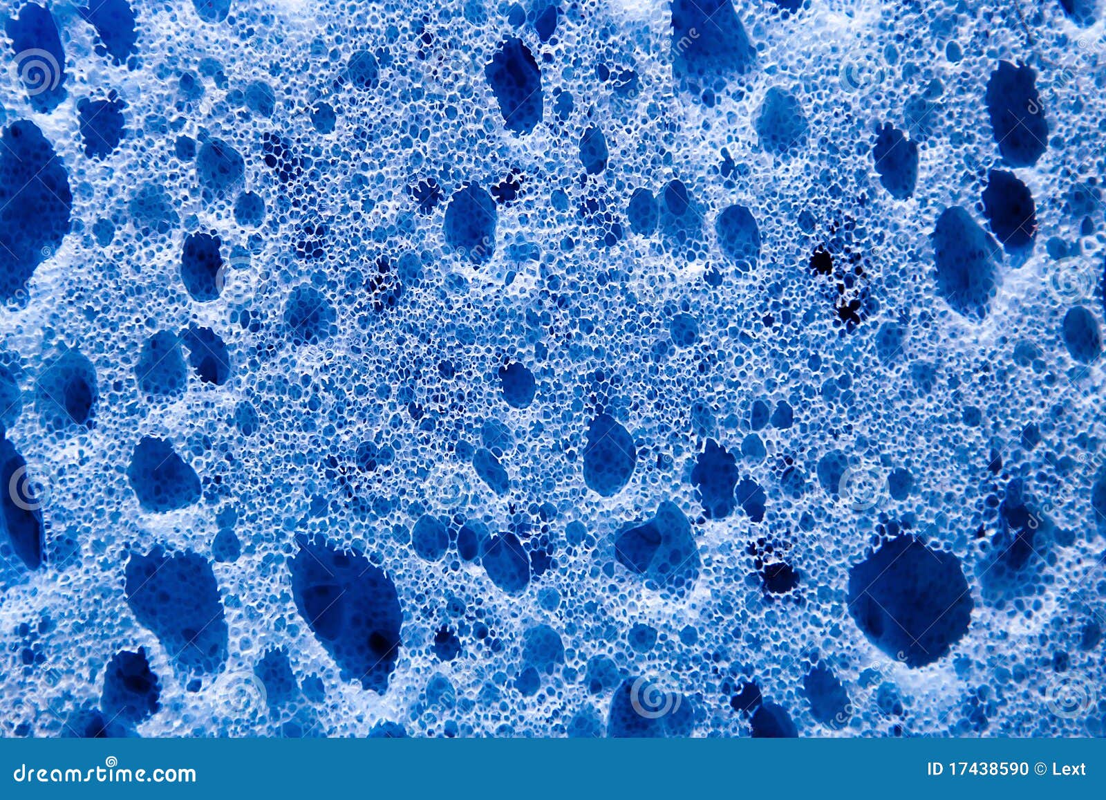 The Structure Of The Sponge In Macro, Texture And Background Royalty ...