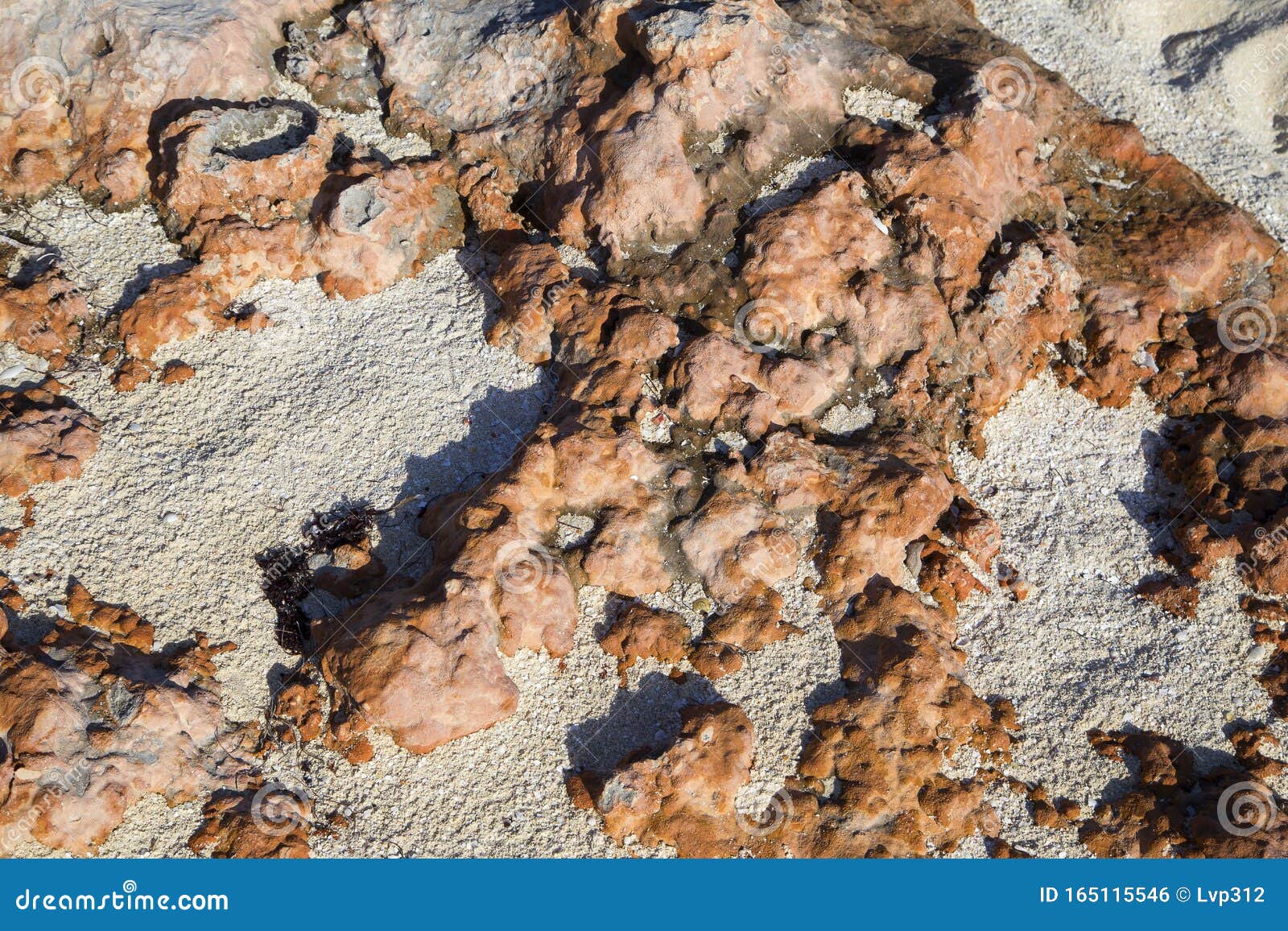 The Structure of the Stone from a Beach in Cuba. Stock Photo - Image of ...