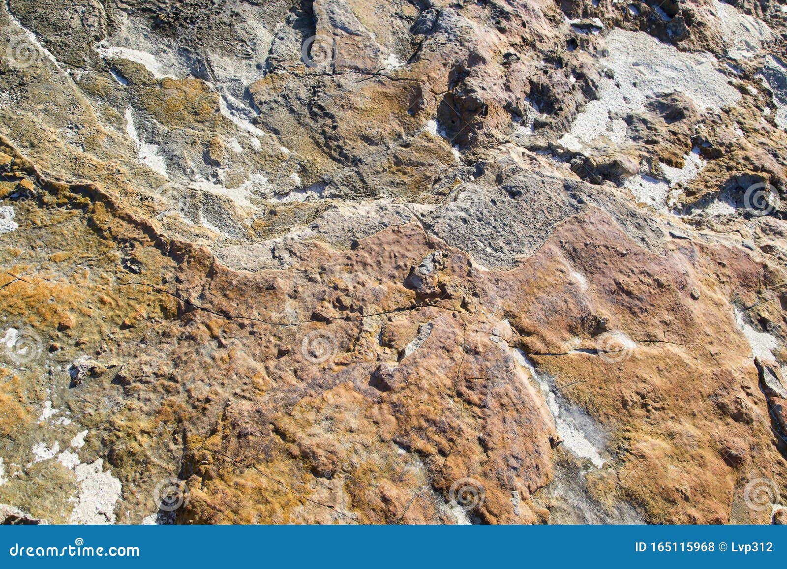 The Structure of the Stone from a Beach in Cuba. Stock Photo - Image of ...