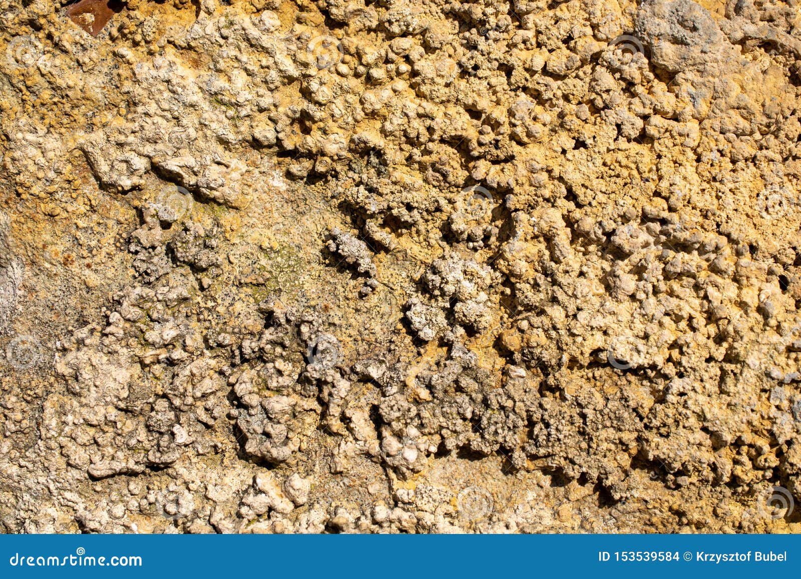 Structure of a Stone Slab of Limestone Stock Photo - Image of mineral ...