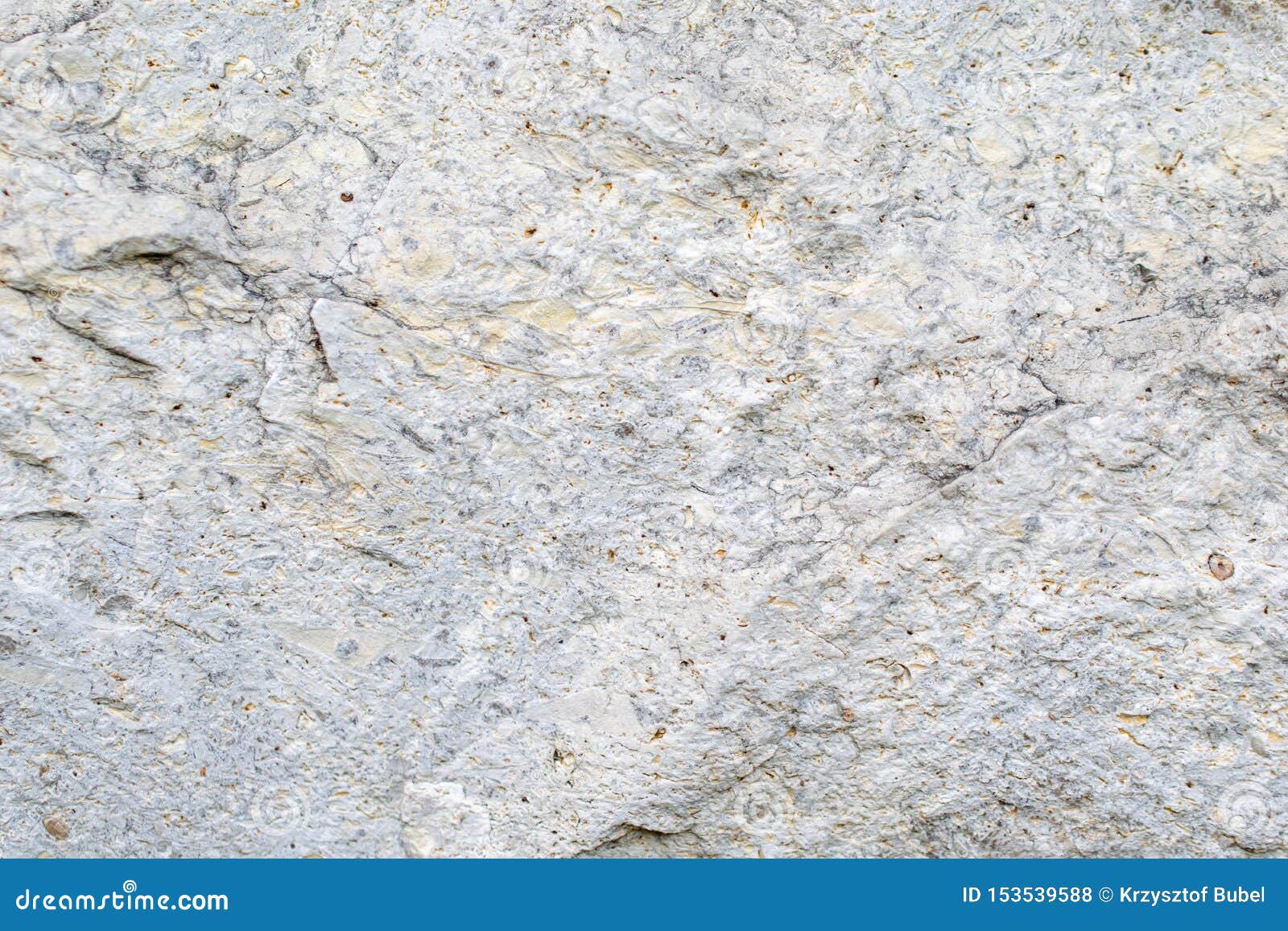 Structure of a Stone Slab of Limestone Stock Photo - Image of floor ...