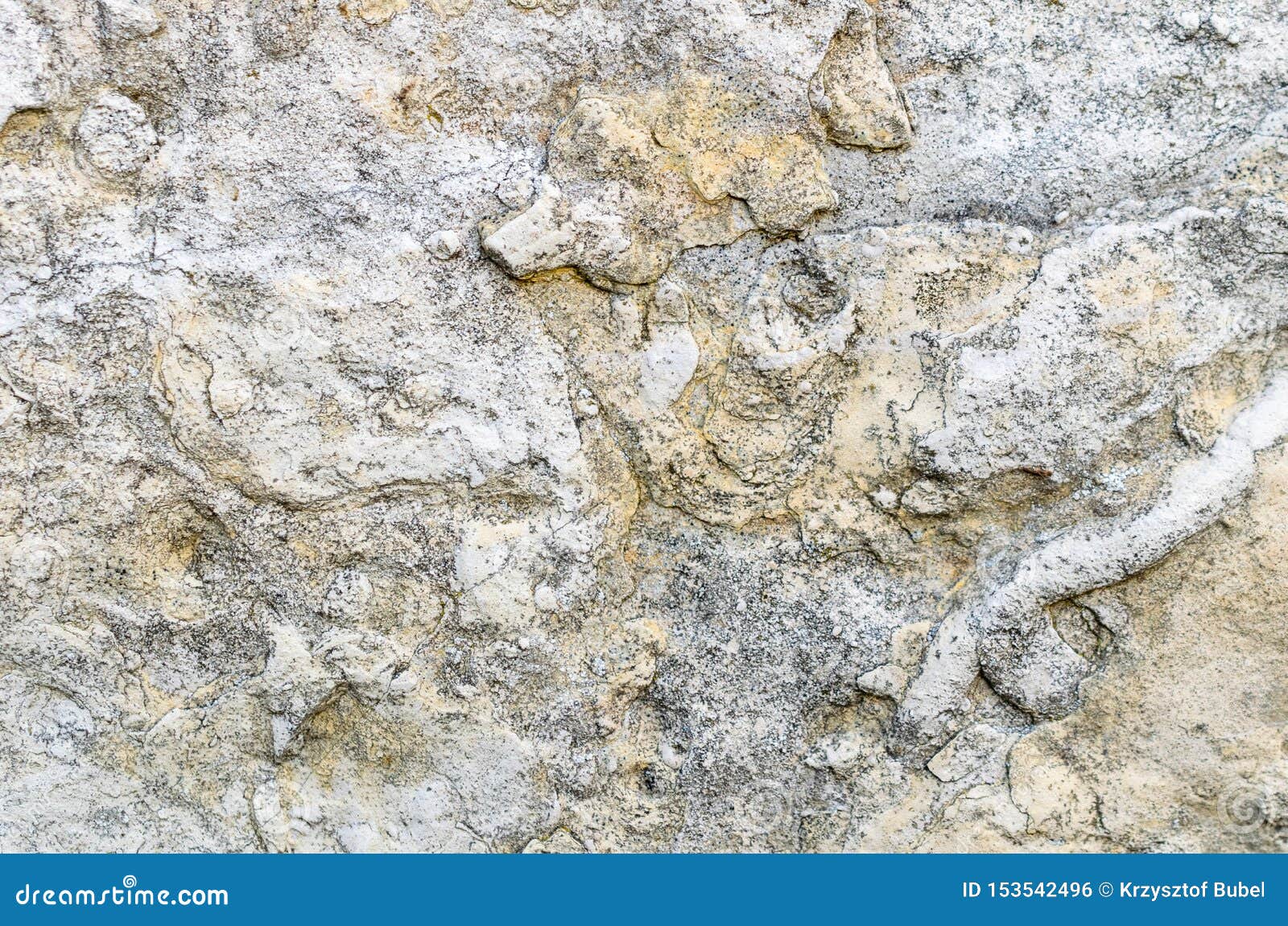 Structure of a Stone Slab of Limestone Stock Photo - Image of pattern ...