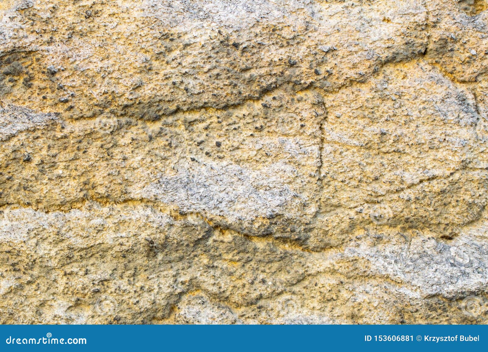 Structure of a Stone Slab of Limestone Stock Image - Image of ...