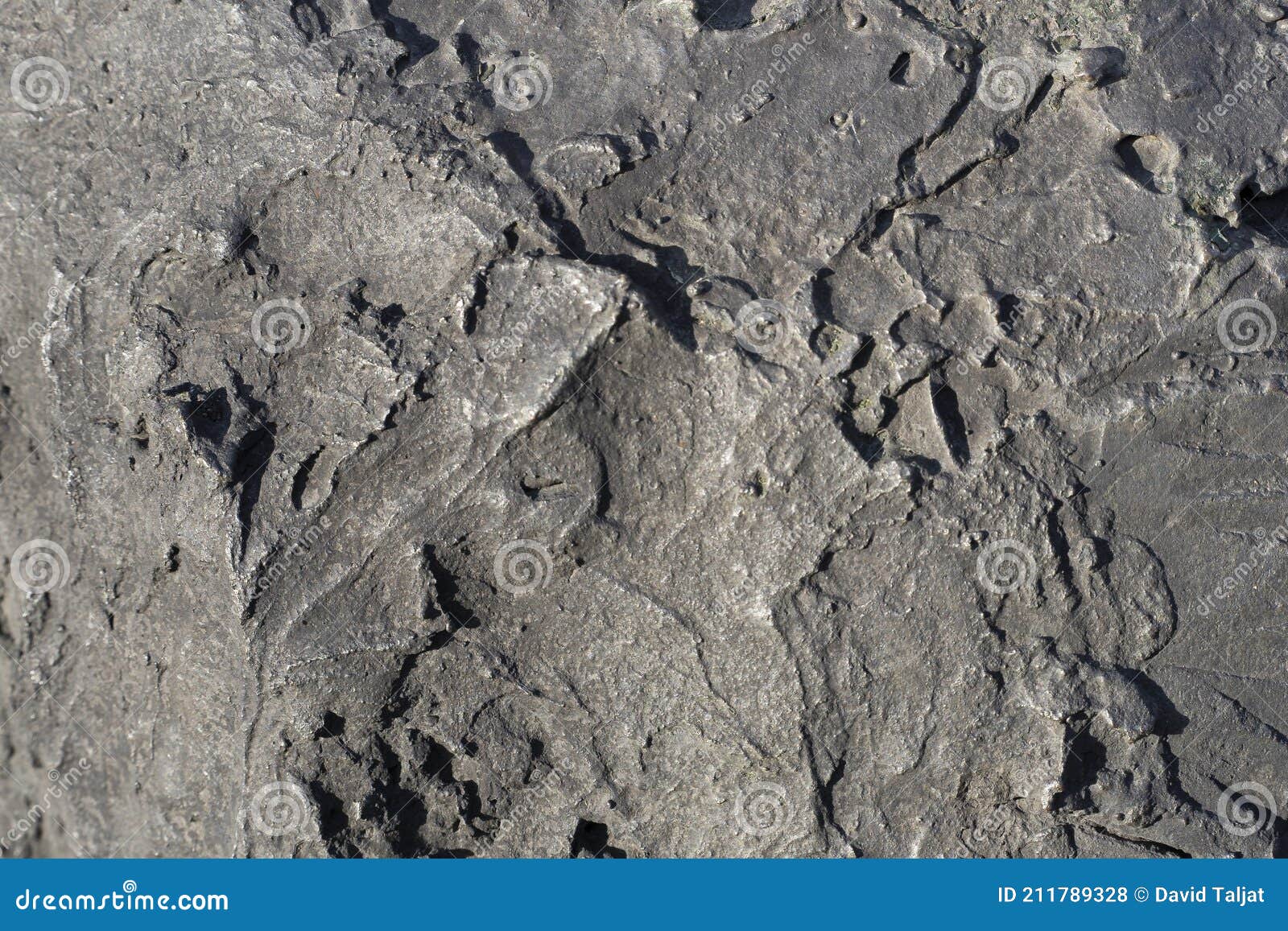 The Structure of the Surface of the Gray Stone Rock Stock Photo - Image ...