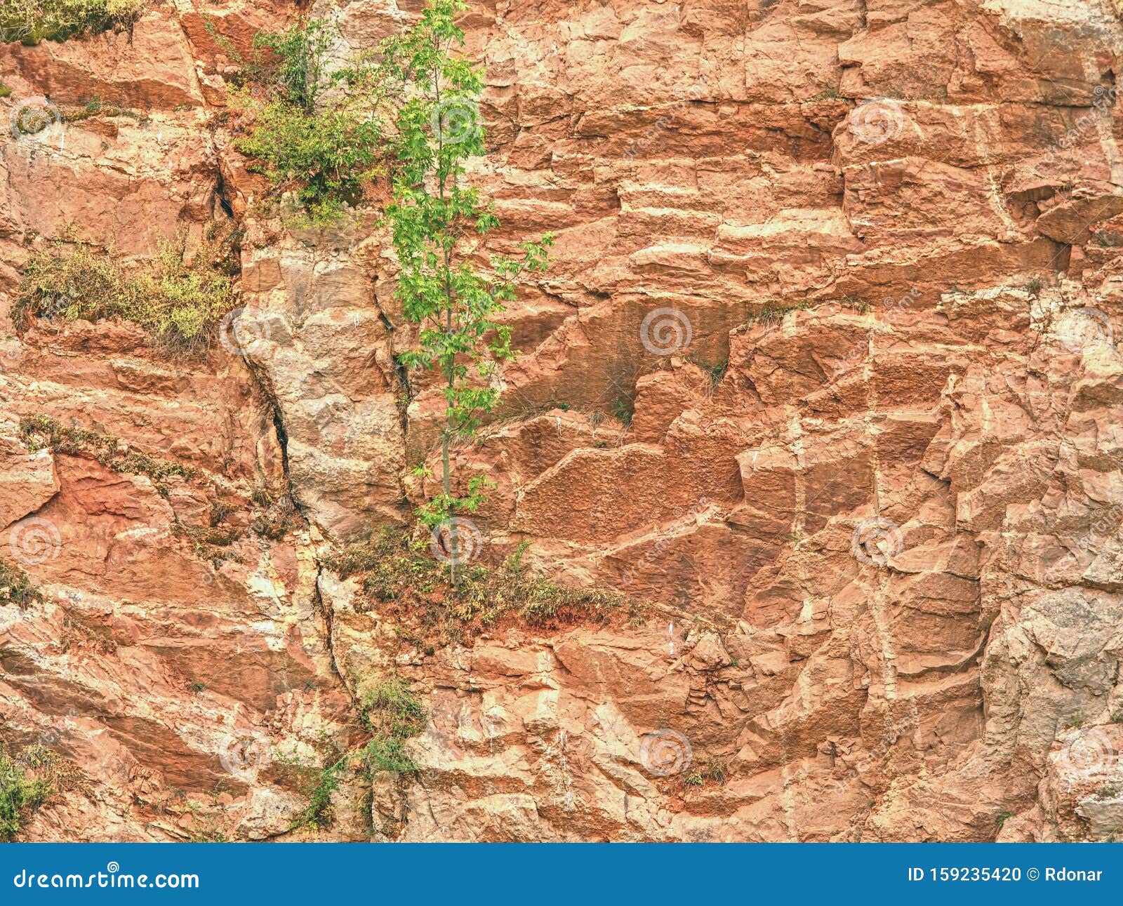 Structure of the Surface of Lime Mine Wall. Multicolor Fragments Stock ...