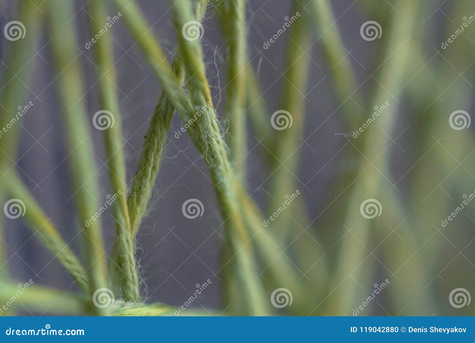 The Structure of the Tapestry. Geometric Lines in Weave of Thread ...