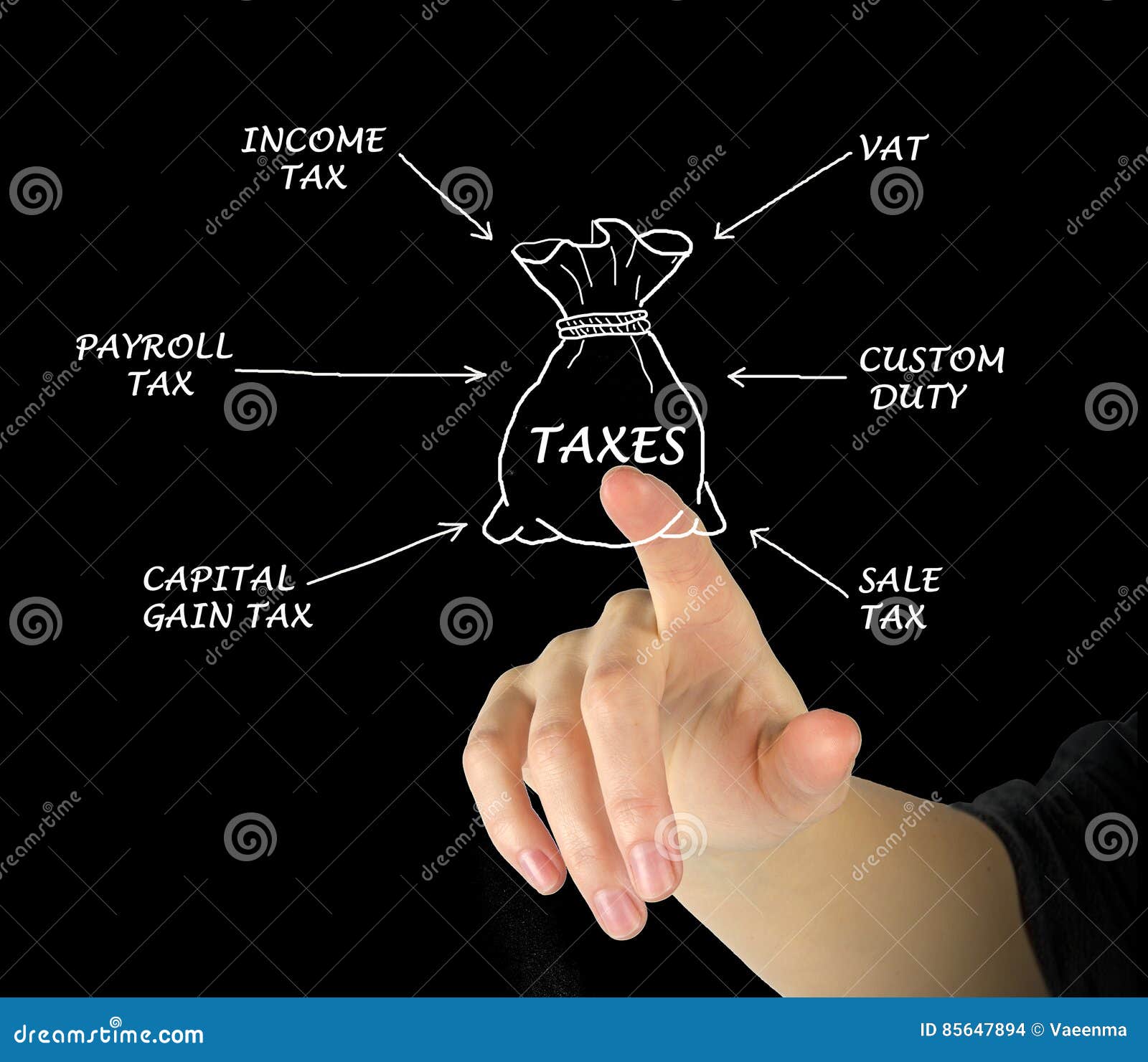 Types Of Taxation Infographic Chart Design Template. Public Policy ...