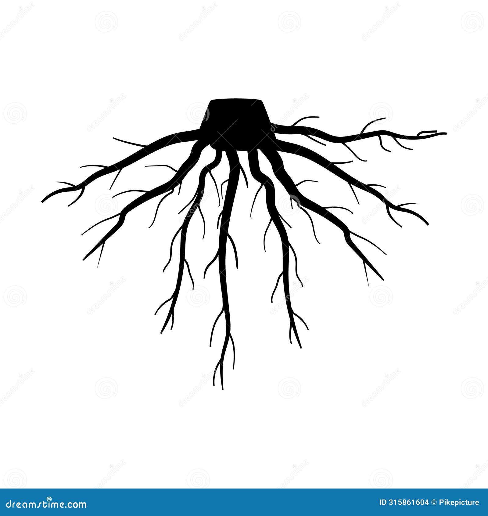 Structure Tree Root Cartoon Vector Illustration Stock Vector ...