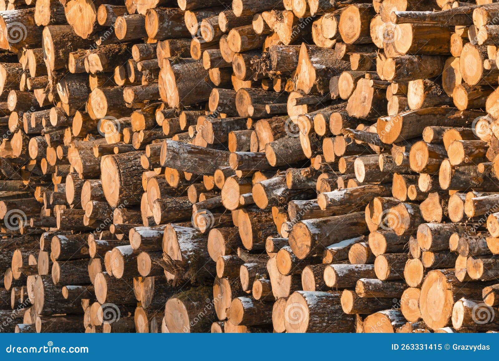 Raw Materials for Heating the Housing Stock Image - Image of logs ...