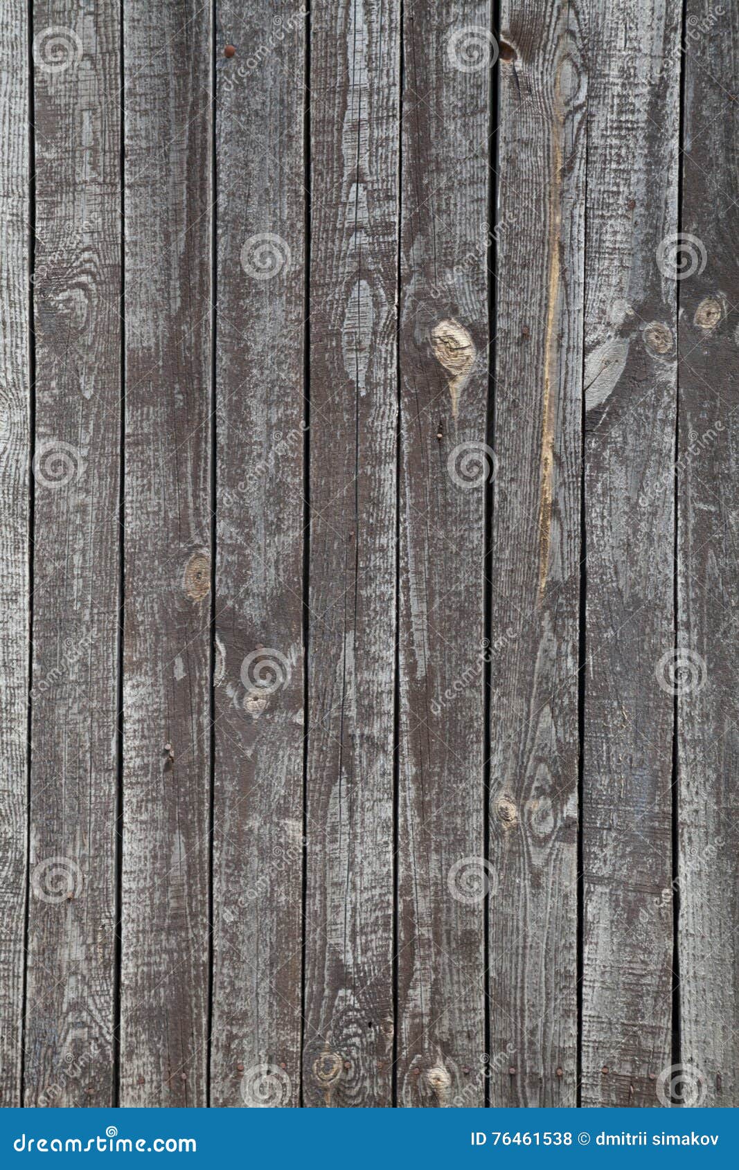Structure of the Tree Wooden Background Stock Photo - Image of pattern ...