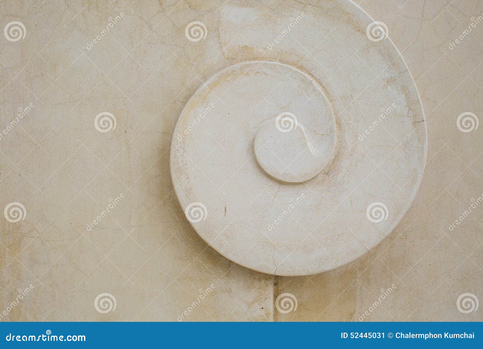 Structure of Tropical Decorative Plaster, Shell Pattern Stock Image ...