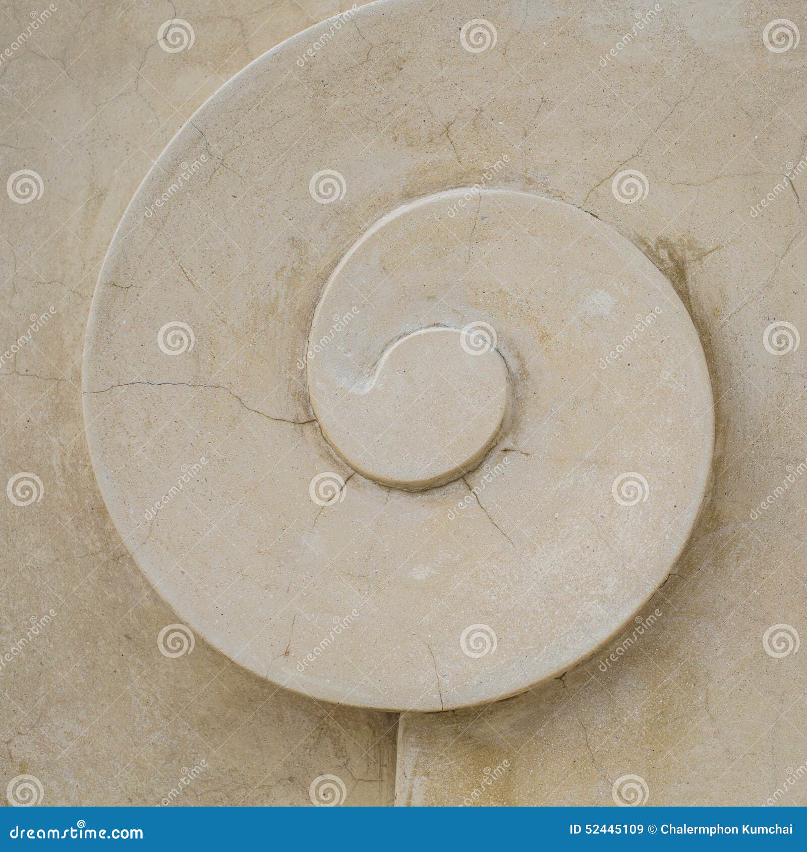 Structure of Tropical Decorative Plaster, Shell Pattern Stock Image ...