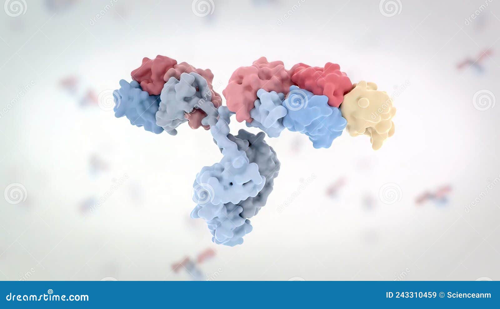 The Structure of a Typical Antibody Molecule.Antibodies and Amino Acids ...