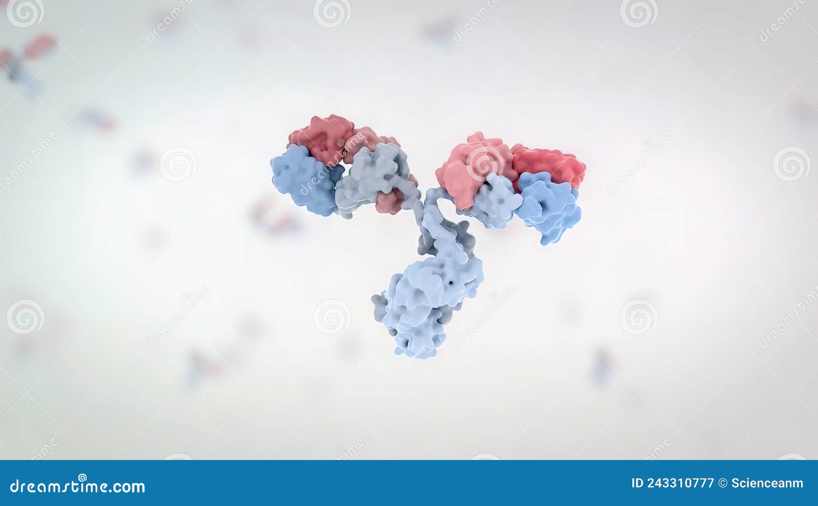 The Structure of a Typical Antibody Molecule.Antibodies and Amino Acids ...