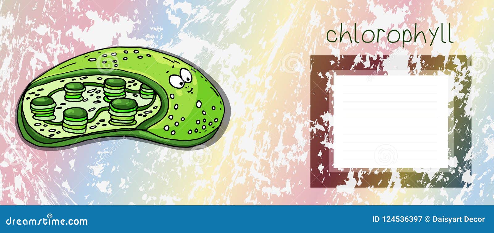 Structure of a Typical Higher-plant Chloroplast. Chloroplast Structure ...