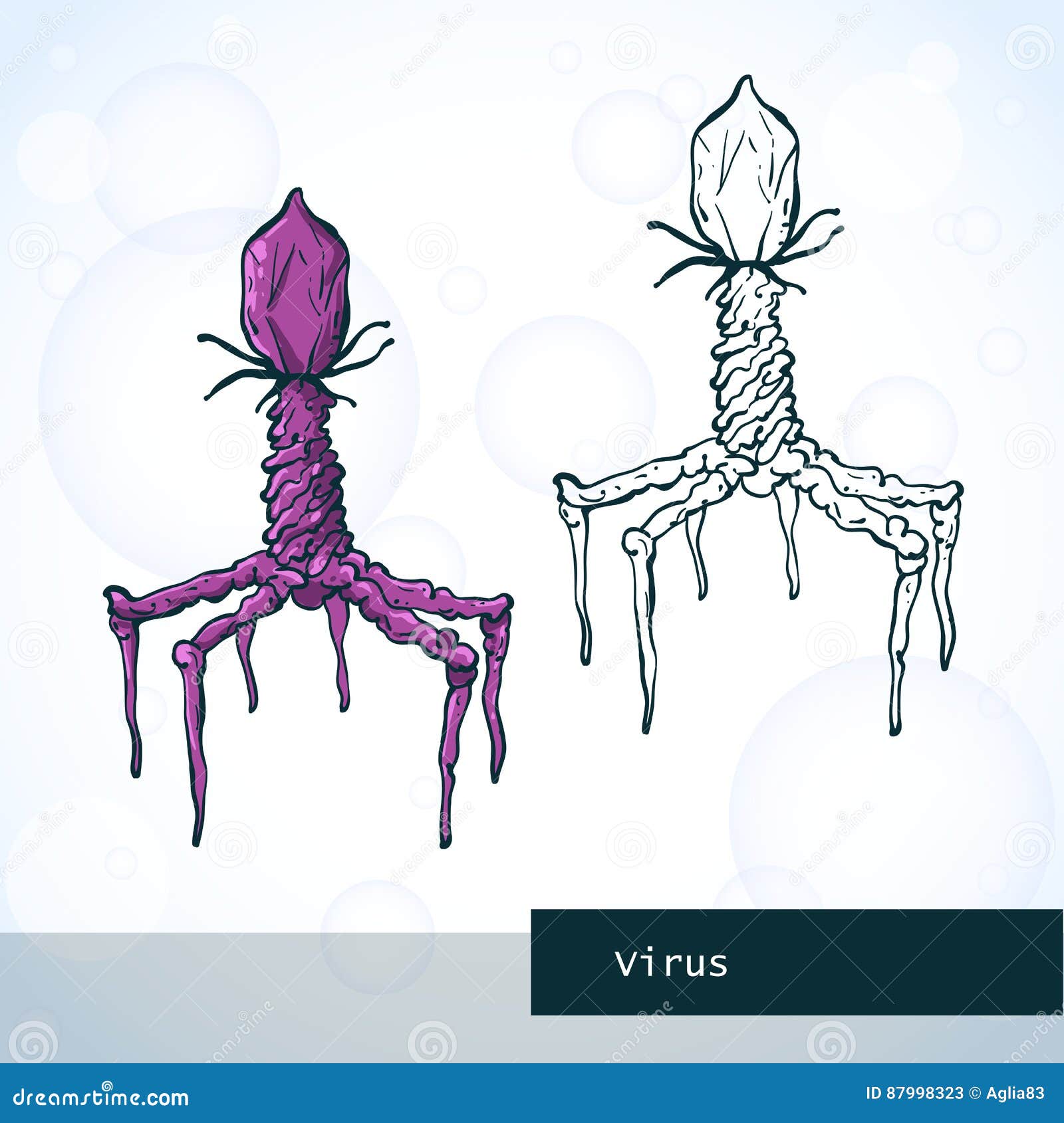 Structure of virus stock vector. Illustration of life - 87998323