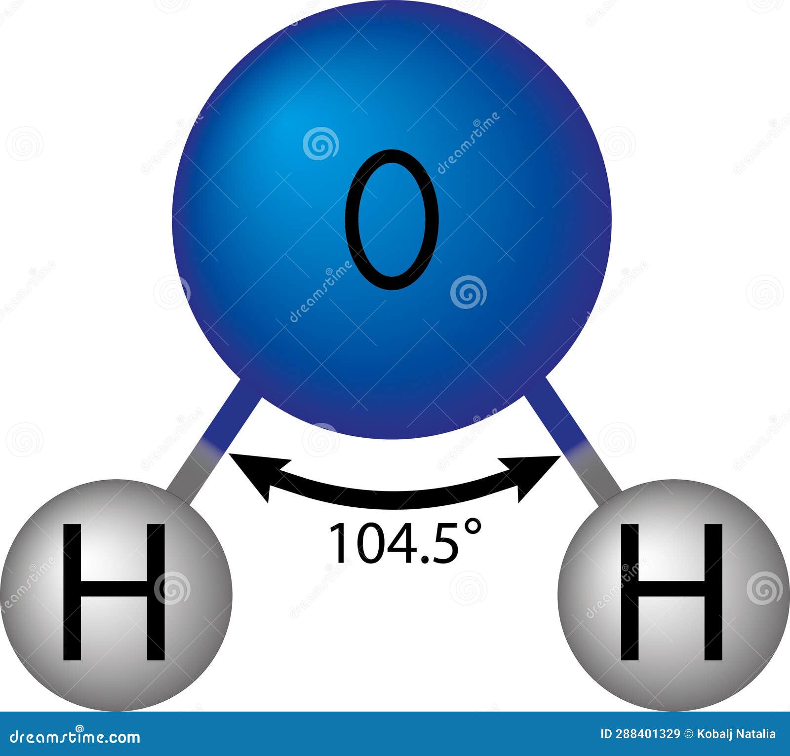 The Structure of the Water Molecule Stock Illustration - Illustration ...