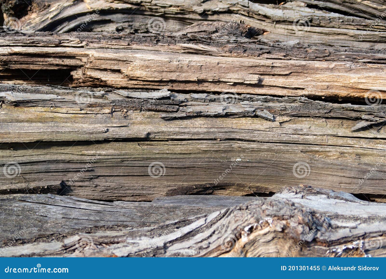 Rotten Open Orange On The Plate. Stock Photo | CartoonDealer.com #70708854