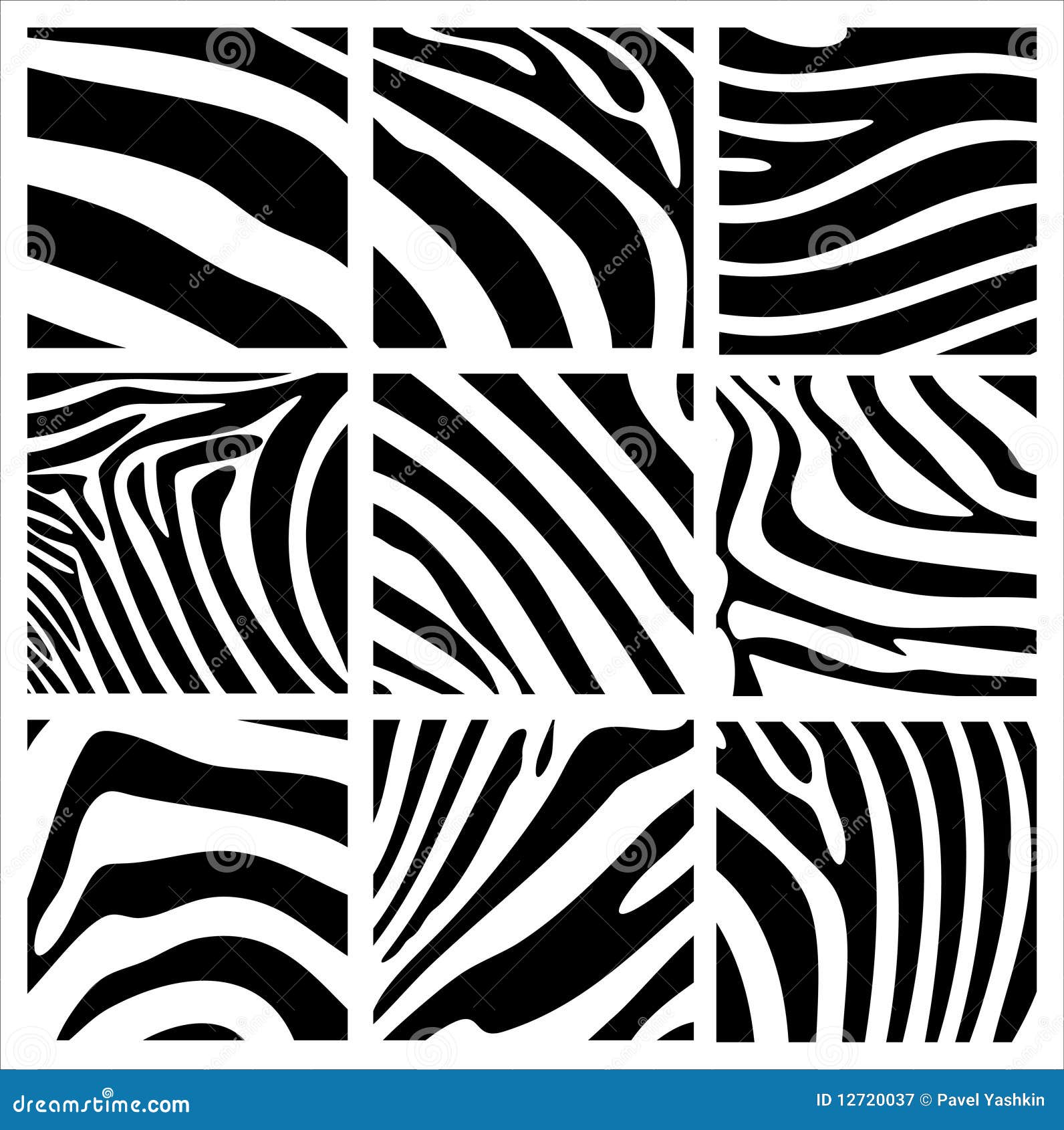 Structure of a zebra stock vector. Illustration of design - 12720037
