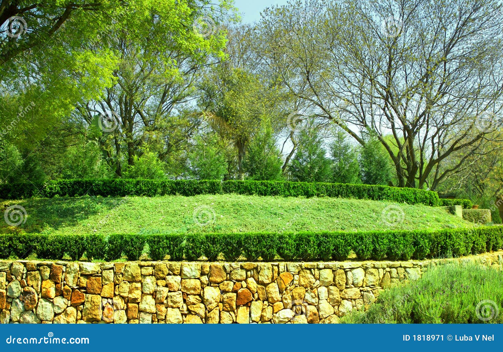 Structured garden stock image. Image of leaves, landscaping - 1818971