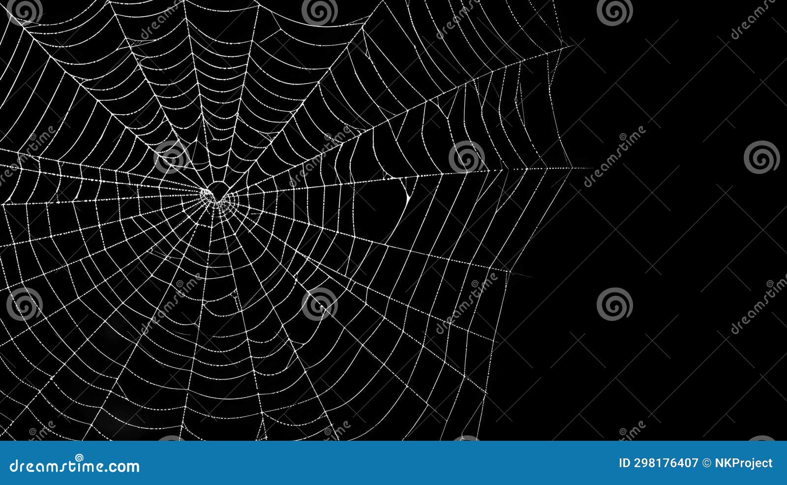 Structured Patterned Spider Net Design in White Color Isolated on Alpha ...