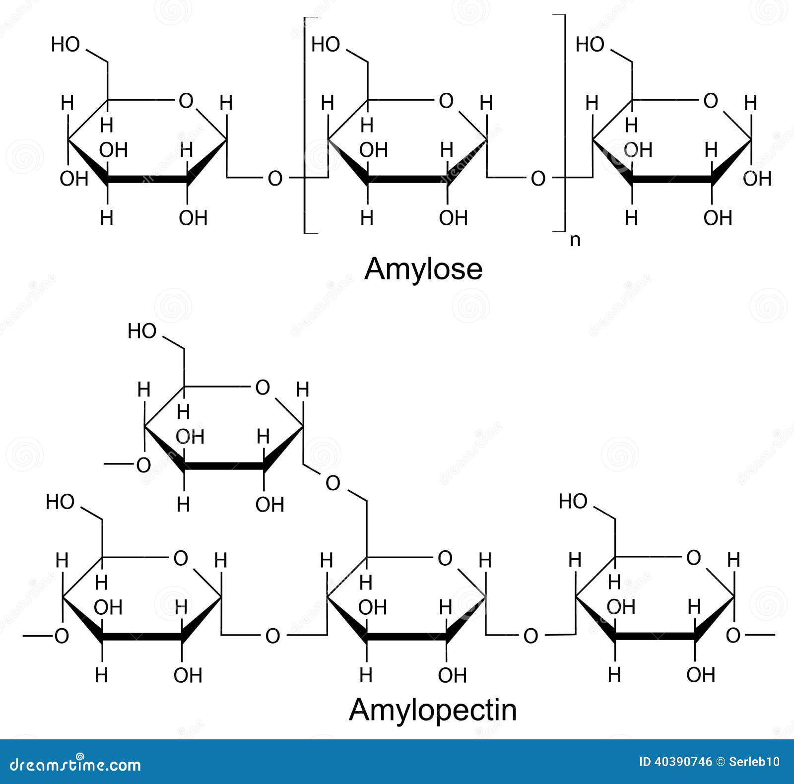 Structurele Componenten Van Het Zetmeel. Chemische Formule Vector ...
