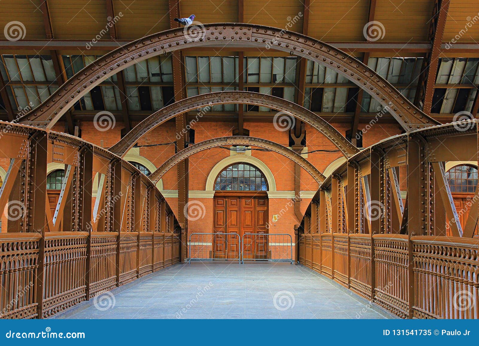 The Structures and Curves in Iron. Stock Image - Image of historic ...