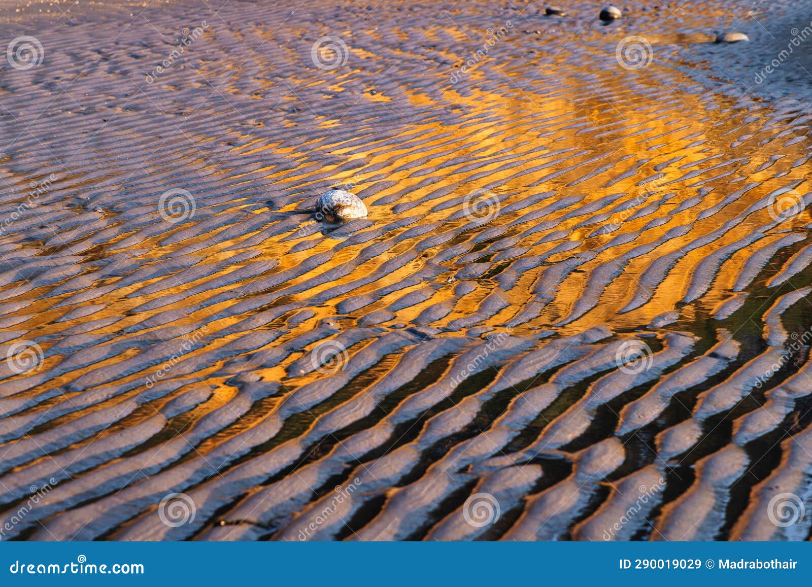 Structures in the Mudflats with Water Reflections from Evening Sun ...
