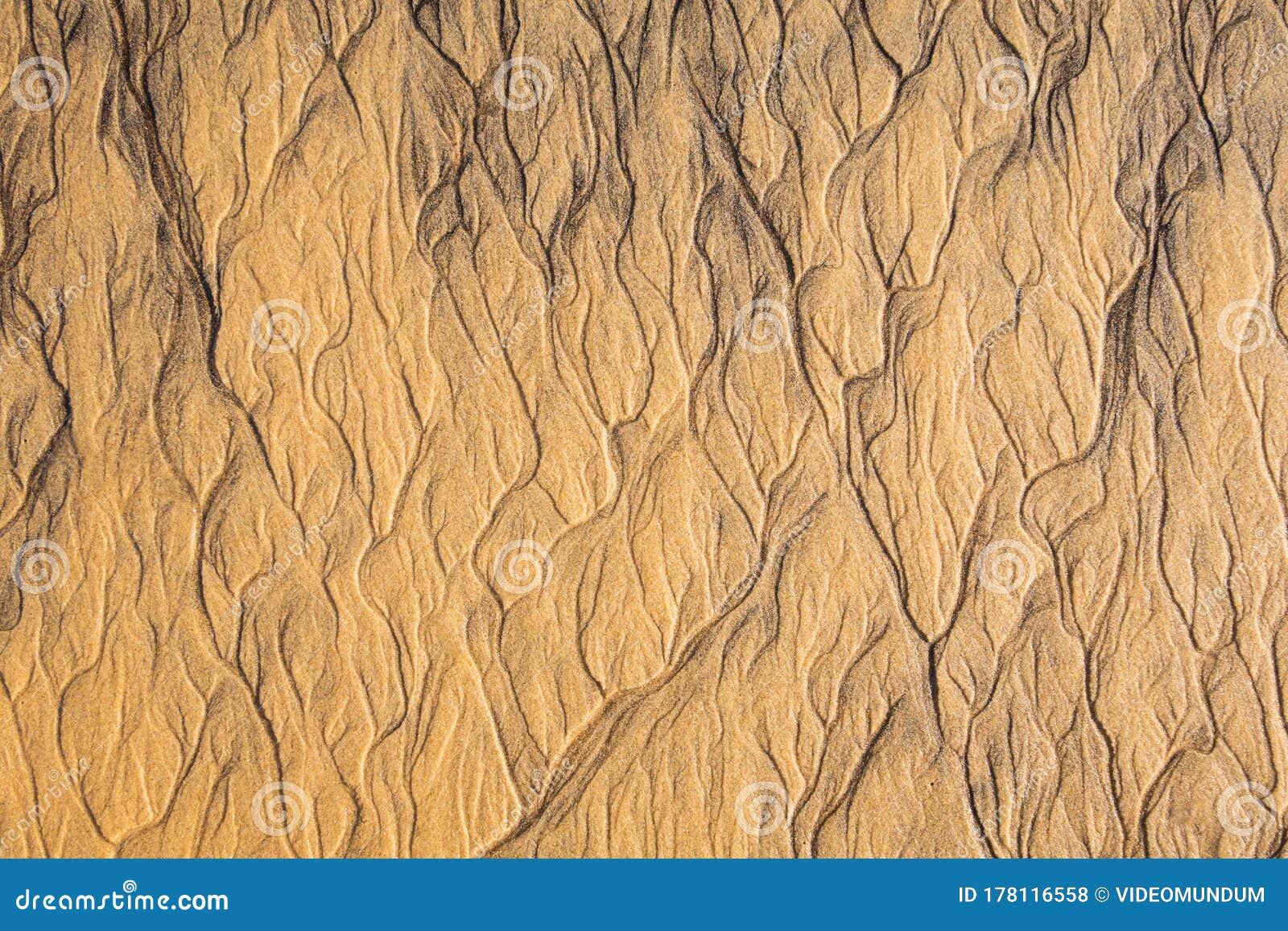 Structures in the Sand from Tiny Trickling Rivulets Stock Photo - Image ...