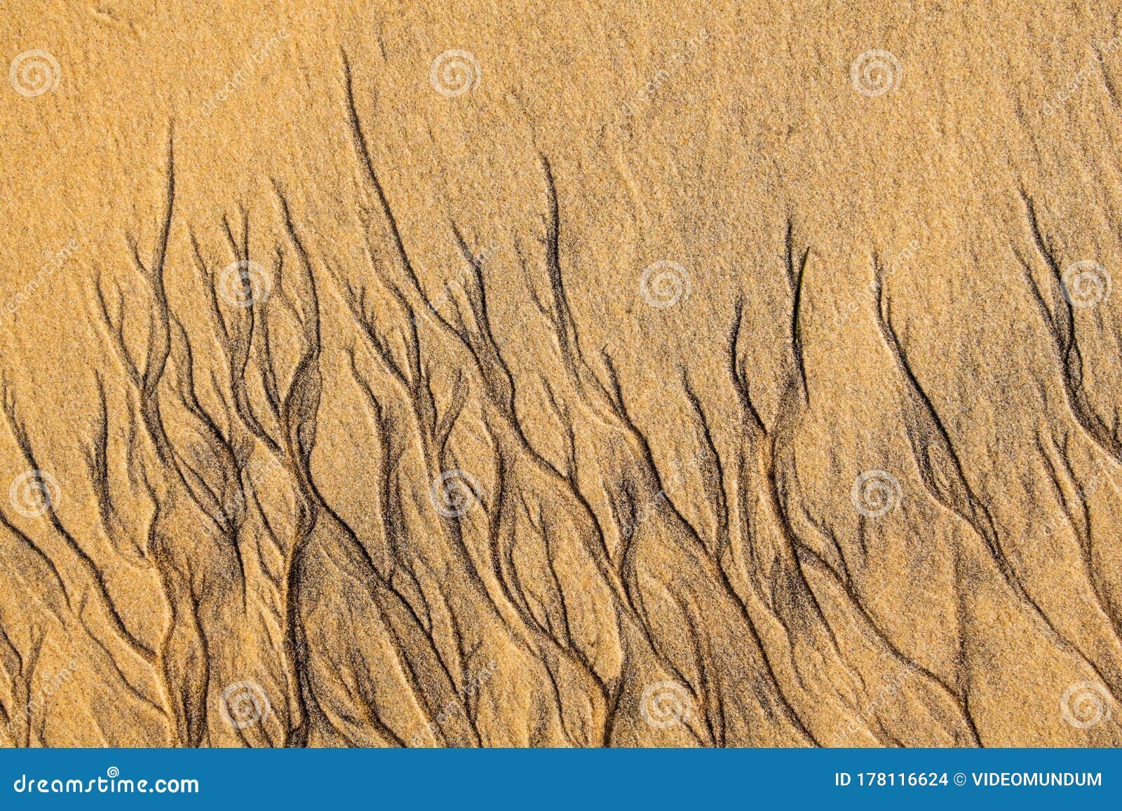 Structures in the Sand from Tiny Trickling Rivulets Stock Photo - Image ...