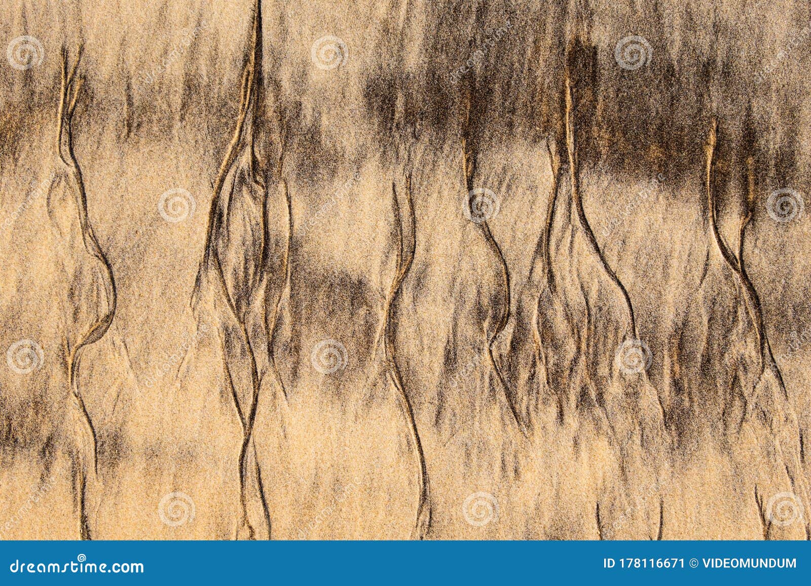 Structures in the Sand from Tiny Trickling Rivulets Stock Image - Image ...